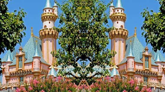 Professional Development Courses | Disney Institute